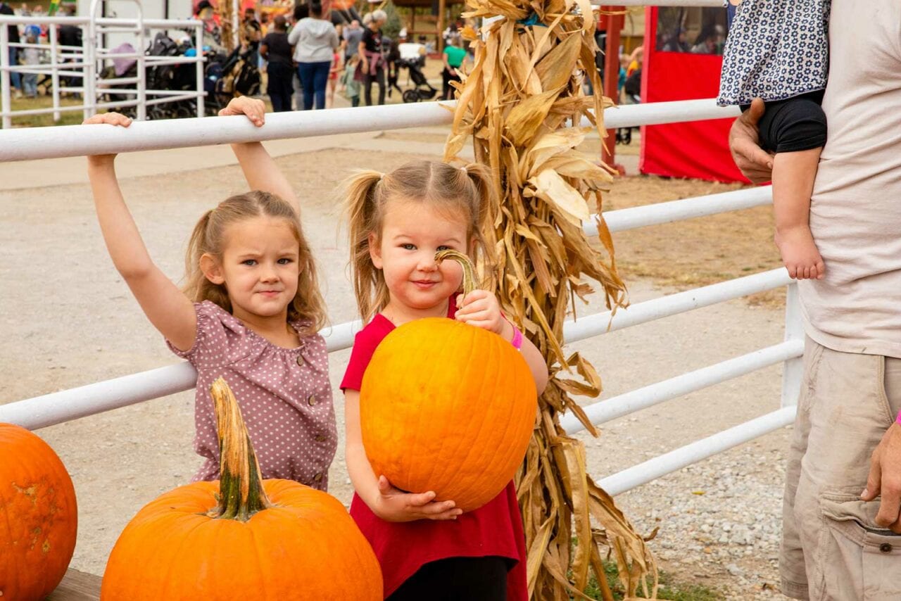 Pumpkin Season - Faulkner's Ranch