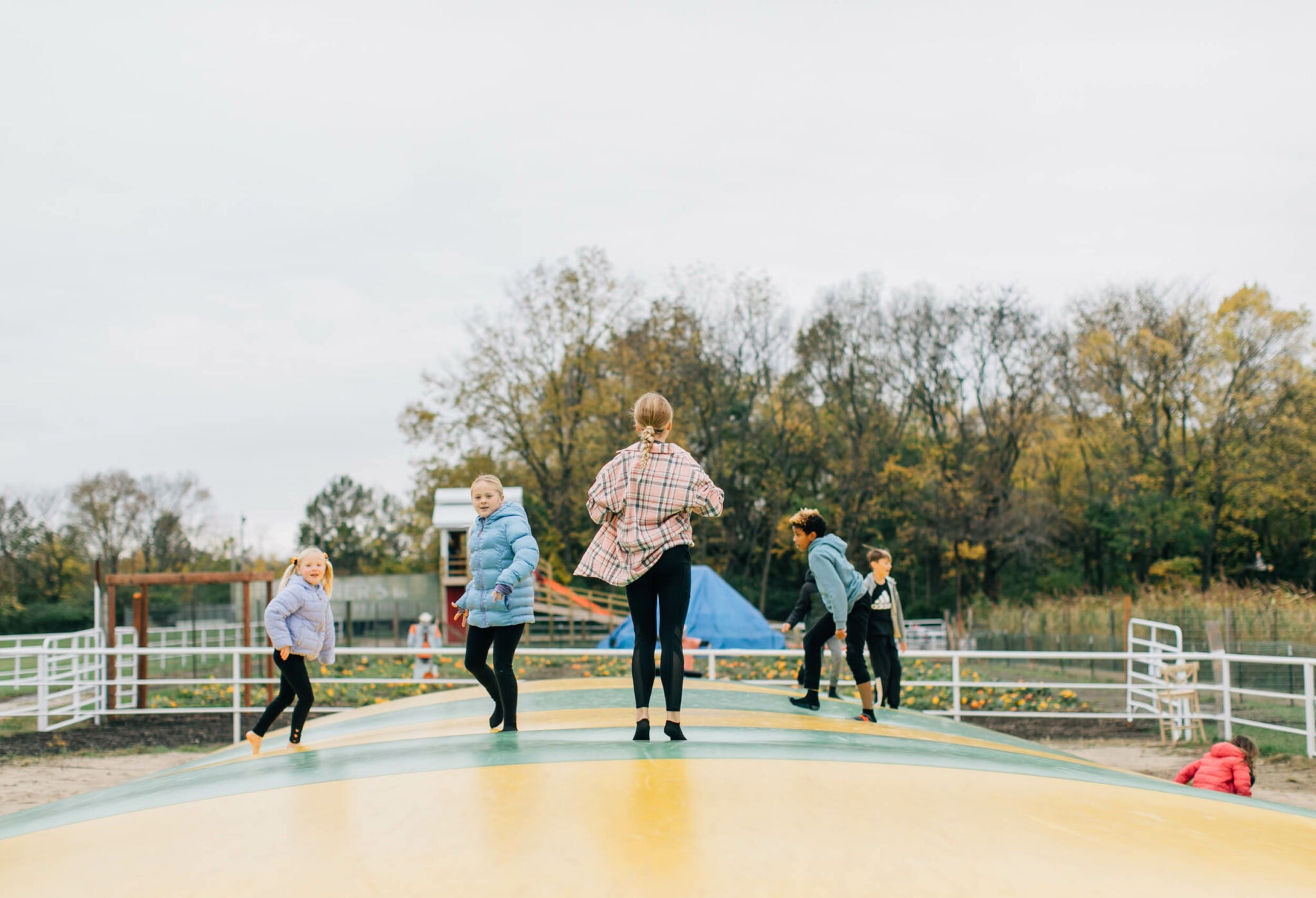 Pumpkin Season - Faulkner's Ranch